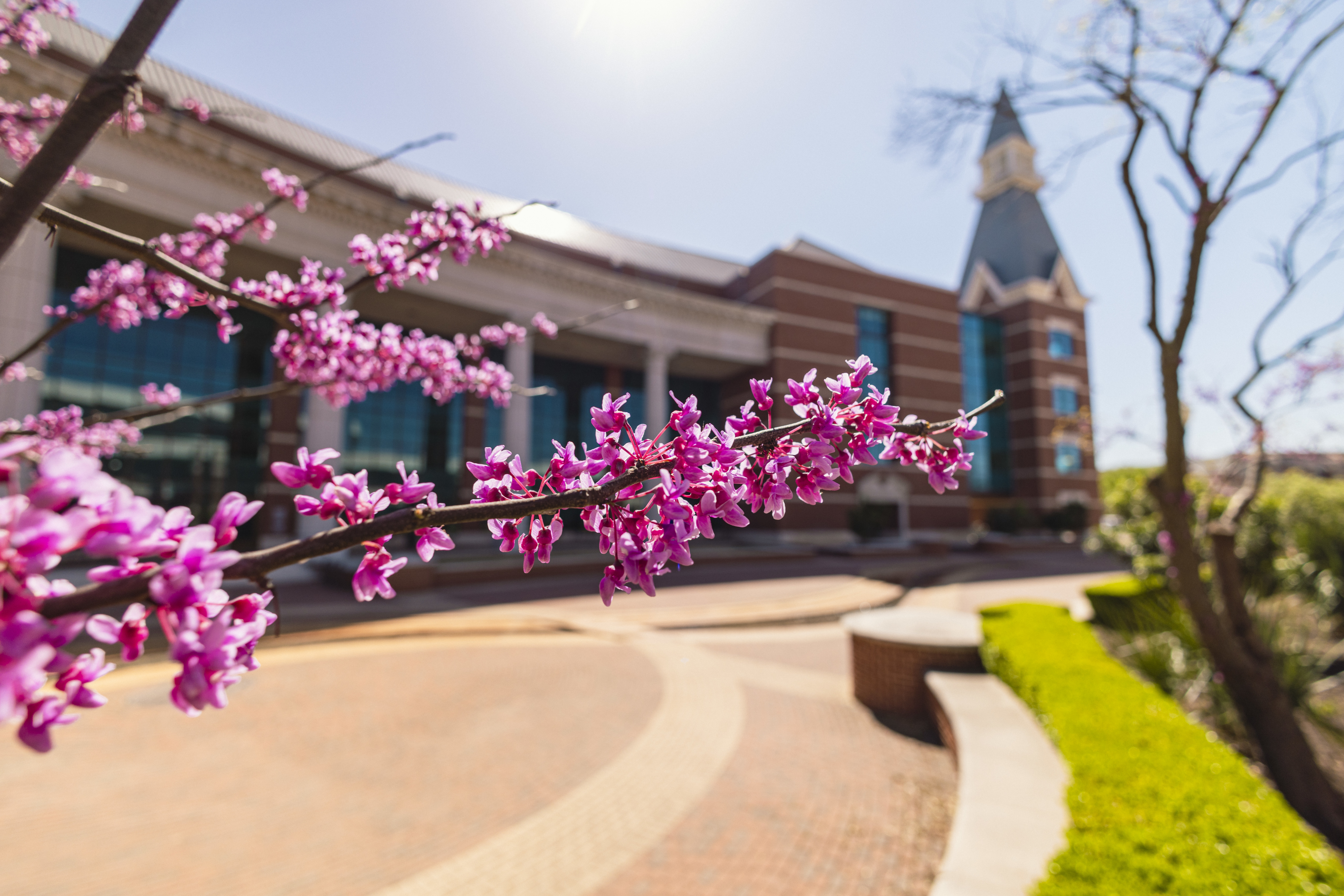 About the Annual Report | Graduate School Annual Report | Baylor University